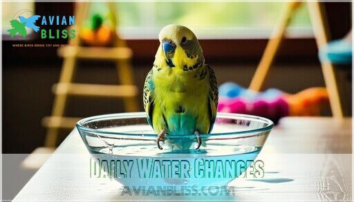Parakeet Water Needs Explained: Complete Hydration Guide for Birds