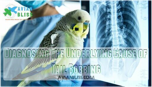 Parakeet Tail Bobbing: Signs, Causes & When to Call The Vet