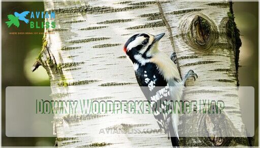 Woodpeckers of Idaho: Photos, Maps & Guide to All 2025 Species