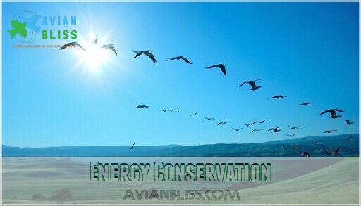 Why Do Birds Fly in V Formation? The Science Behind This Amazing Trick