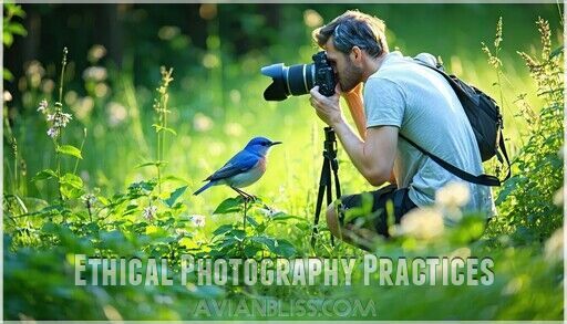 Bird Habitat Photography Ideas: Expert Tips for Stunning Shots