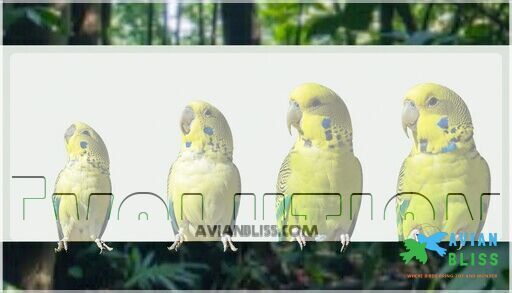 Why is My Parakeet's Beak So Long? Causes & Treatment Tips