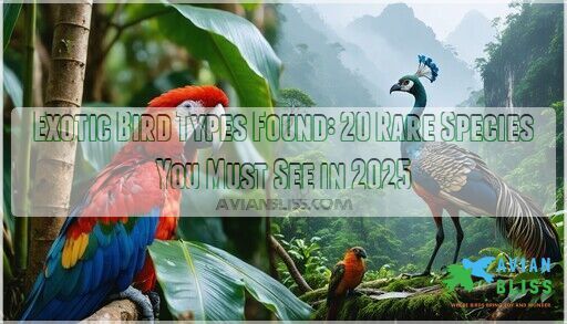 Exotic Bird Types Found: 20 Rare Species You Must See in 2025