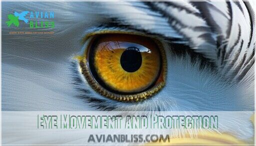 Cool Facts About Birds Eyesight: Amazing Vision Abilities Revealed