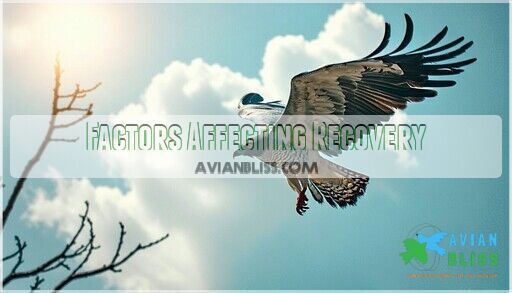 Common Types Bird Wing Injury: Signs, Treatment & Recovery Tips