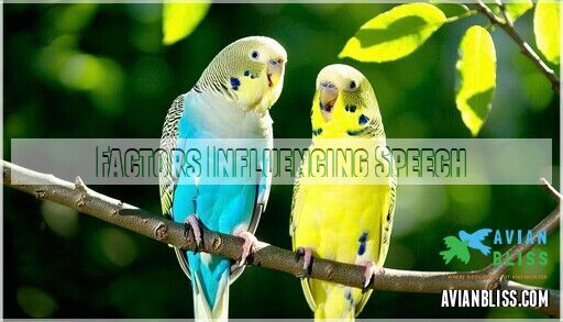 Can Parakeets Talk at All? Training Tips That Actually Work