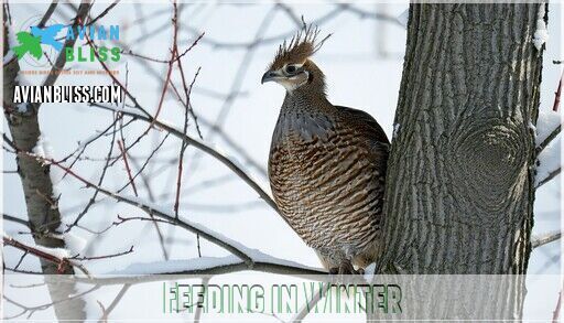 Ruffed Grouse: Complete Guide to ID, Behavior, Habitat & Life Cycle