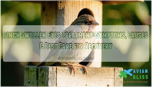 Finch Swollen Eyes Treatment: Symptoms, Causes & Best Care for Recovery