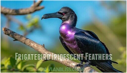 Unique Bird Feather Colors: Nature's Most Dazzling Displays Revealed