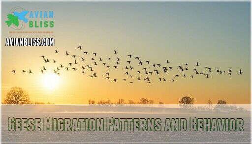 Birds That Migrate Alone Rarely: Why Most Fly in Flocks for Survival