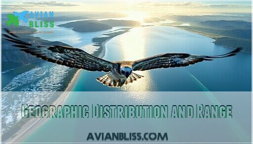 Osprey Bird: Stunning Facts on Habitat, Diet, Nesting, and Conservation