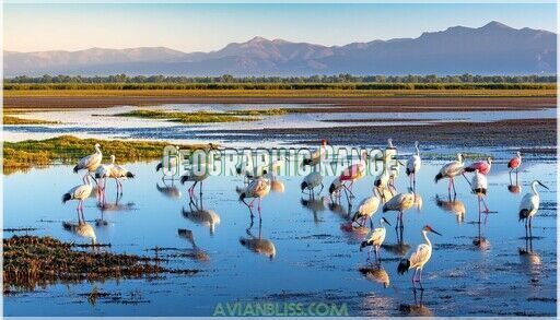 White Faced Ibis: Complete Guide to Identification & Habitat Facts
