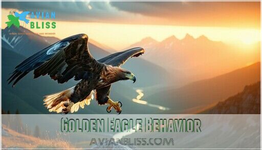 Golden Eagle Facts: Size, Habitat, Behavior & Conservation Status
