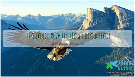 Golden Eagle Facts: Size, Habitat, Behavior & Conservation Status