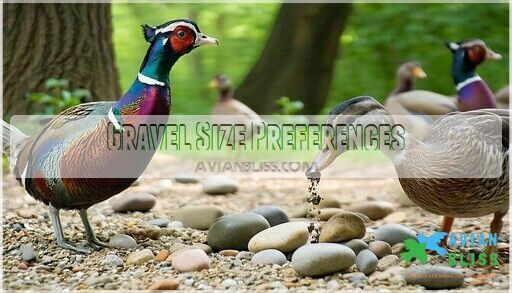 Why Do Birds Eat Gravel? The Surprising Digestive Secret Revealed