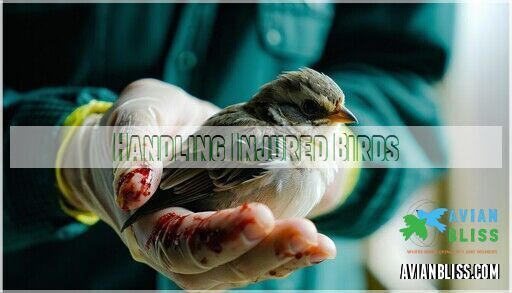 Endangered Bird Rescue: Save Wildlife Through Rehabilitation & Care