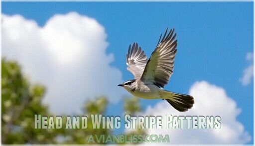 Bird Identification With White Stripes: 12 Species Guide With Photos