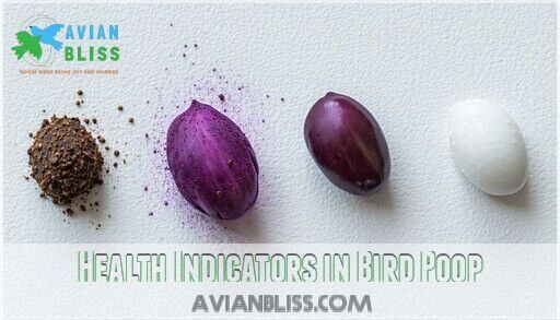 Why is Bird Poop Purple? Diet Secrets & Health Clues Revealed