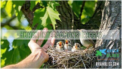 Understanding Bird Aggression Towards Humans: Why Birds Attack & How to ...