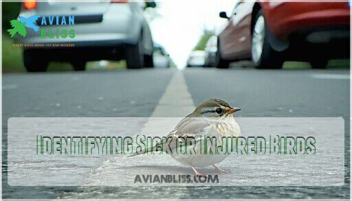 Find Local Bird Rescue Centers Near You - Emergency Wildlife Help