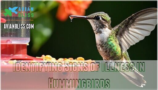 Sick Hummingbird Behavior: Signs, Rescue & Prevention Tips