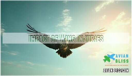 Common Types Bird Wing Injury: Signs, Treatment & Recovery Tips