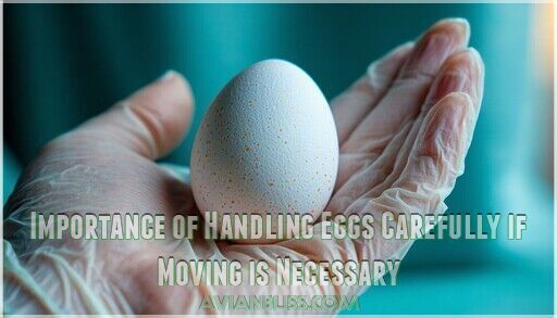 Can You Move Budgie Eggs? Safety Tips & Risks Explained