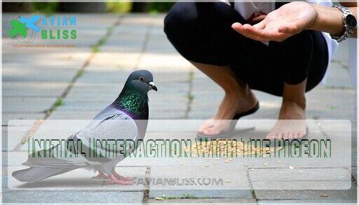 How to Tame Wild Pigeon: Step-by-Step Guide to Gaining Trust Fast