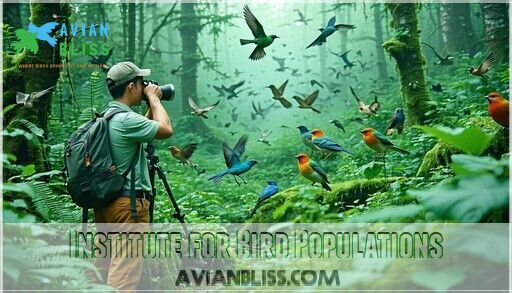 Bird Population Monitoring: Essential Methods & Conservation Impact