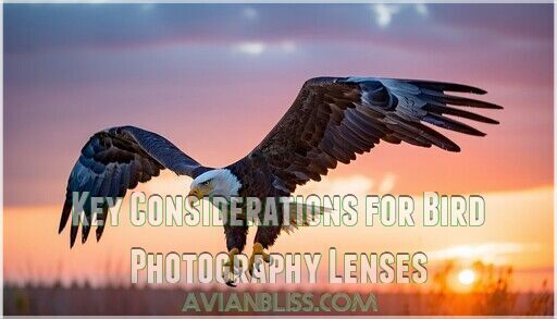 Bird Photography Lens Comparison: 2025 Best Telephoto Lenses Guide