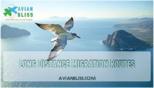 Sanderling Bird Guide: ID Tips, Behavior & Migration Secrets