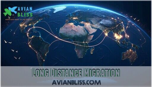 Where Do Different Birds Migrate? Routes & Patterns Explained