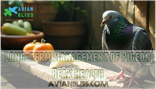 Pigeon Beak Need Treatment: Expert Care Guide for Common Issues