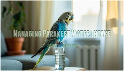 Parakeet Water Needs Explained: Complete Hydration Guide for Birds