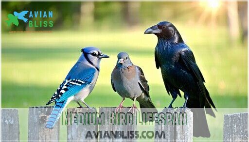 How Long Do Wild Birds Live? Lifespan Facts by Species Size