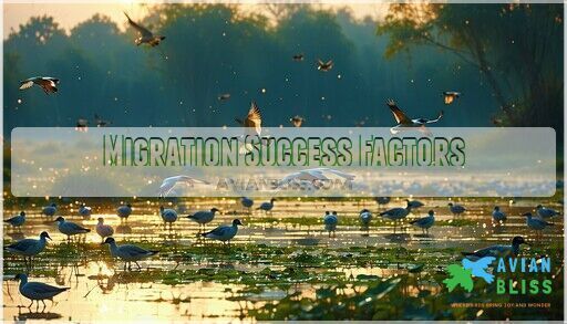 Migratory Bird Stopovers: Critical Rest Points for Migration Success