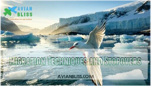 Arctic Tern: Epic 44,000-Mile Migration & Fascinating Life Facts