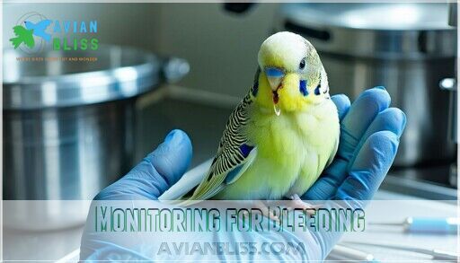 Can a Budgie Break Its Tail? Signs, Care Tips & Feather Regrowth Guide