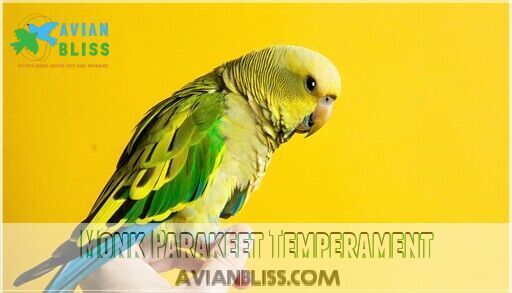 Monk Parakeets as Pets: Pictures, Cost, Temperament & Care Guide