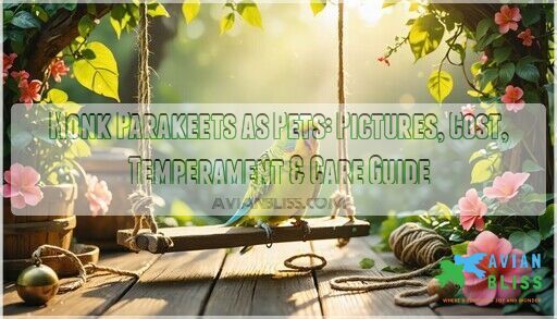 Monk Parakeets as Pets: Pictures, Cost, Temperament & Care Guide