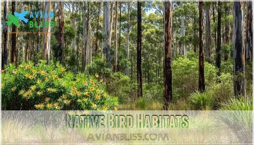 Bird Species Native Habitats: Complete Guide to Types & Conservation