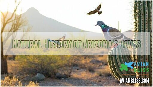 Doves in Arizona: 6 Species Guide With Photos & Calls (2025)