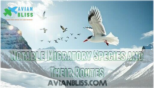 Migratory Bird Species Habits: Patterns, Routes & Amazing Facts