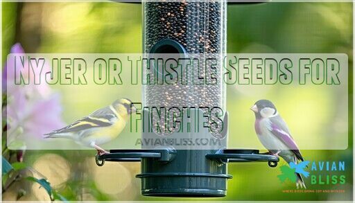 Best Bird Seed for Wild Birds: Top 9 Picks That Actually Attract