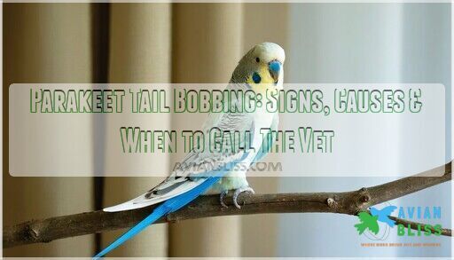 Parakeet Tail Bobbing: Signs, Causes & When to Call The Vet