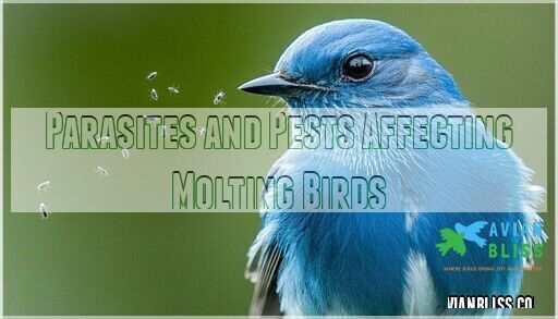 Best Bird Food for Molting: 5 Top Choices to Support Healthy Feather Growth
