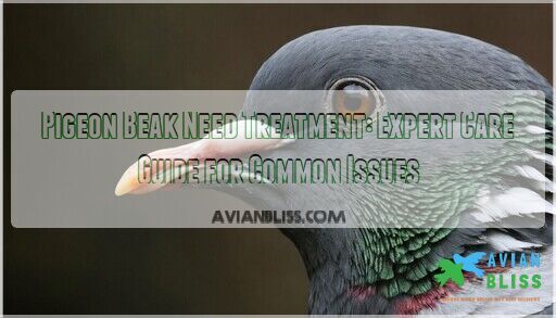 Pigeon Beak Need Treatment: Expert Care Guide for Common Issues