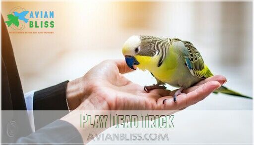 How to Train a Parakeet: 5 Simple Steps That Actually Work