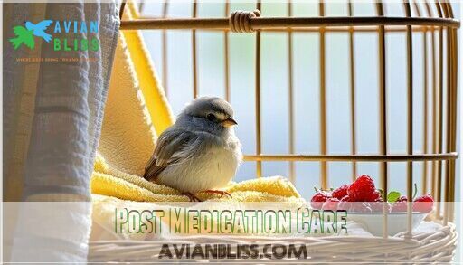 How to Give Bird Medicine: Safe Steps for Pet Bird Owners