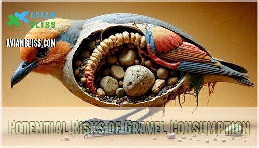 Why Do Birds Eat Gravel? The Surprising Digestive Secret Revealed